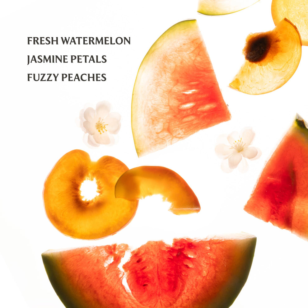 Touchland - Wild Watermelon Power Mist Hydrating Hand Sanitizer – The ...